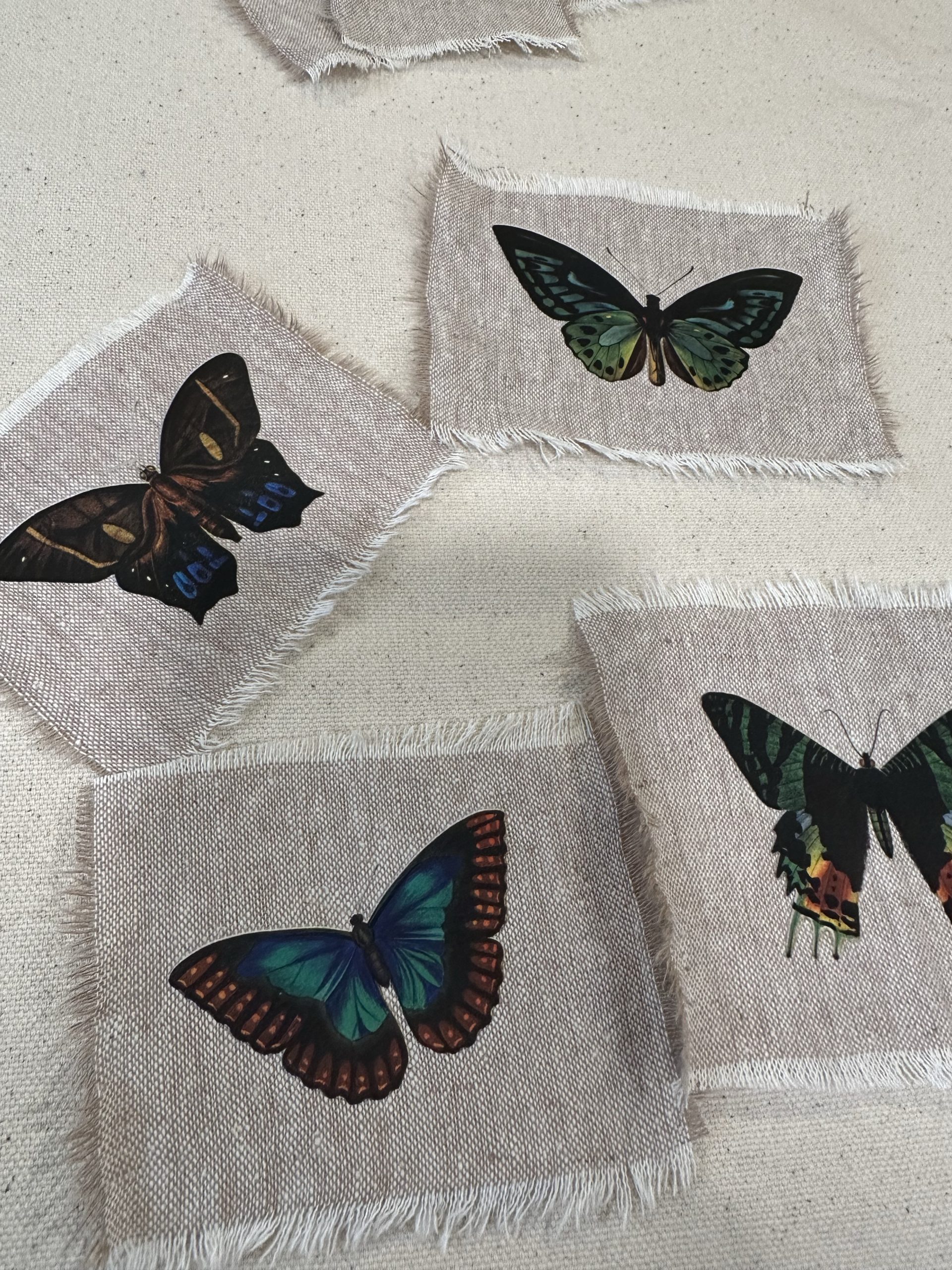About - Amy Sadler Designs