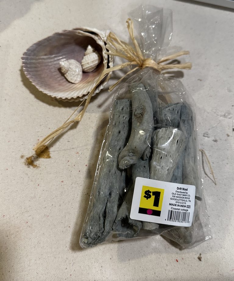 How To Make DIY Coastal Decor with Dollar Tree Seashells - Amy Sadler ...