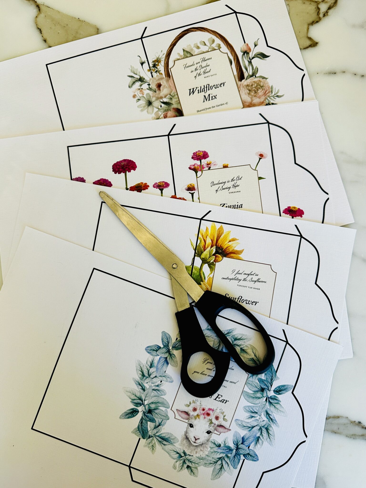 Make Your Own Seed Packets: Free Printables Included - Amy Sadler Designs