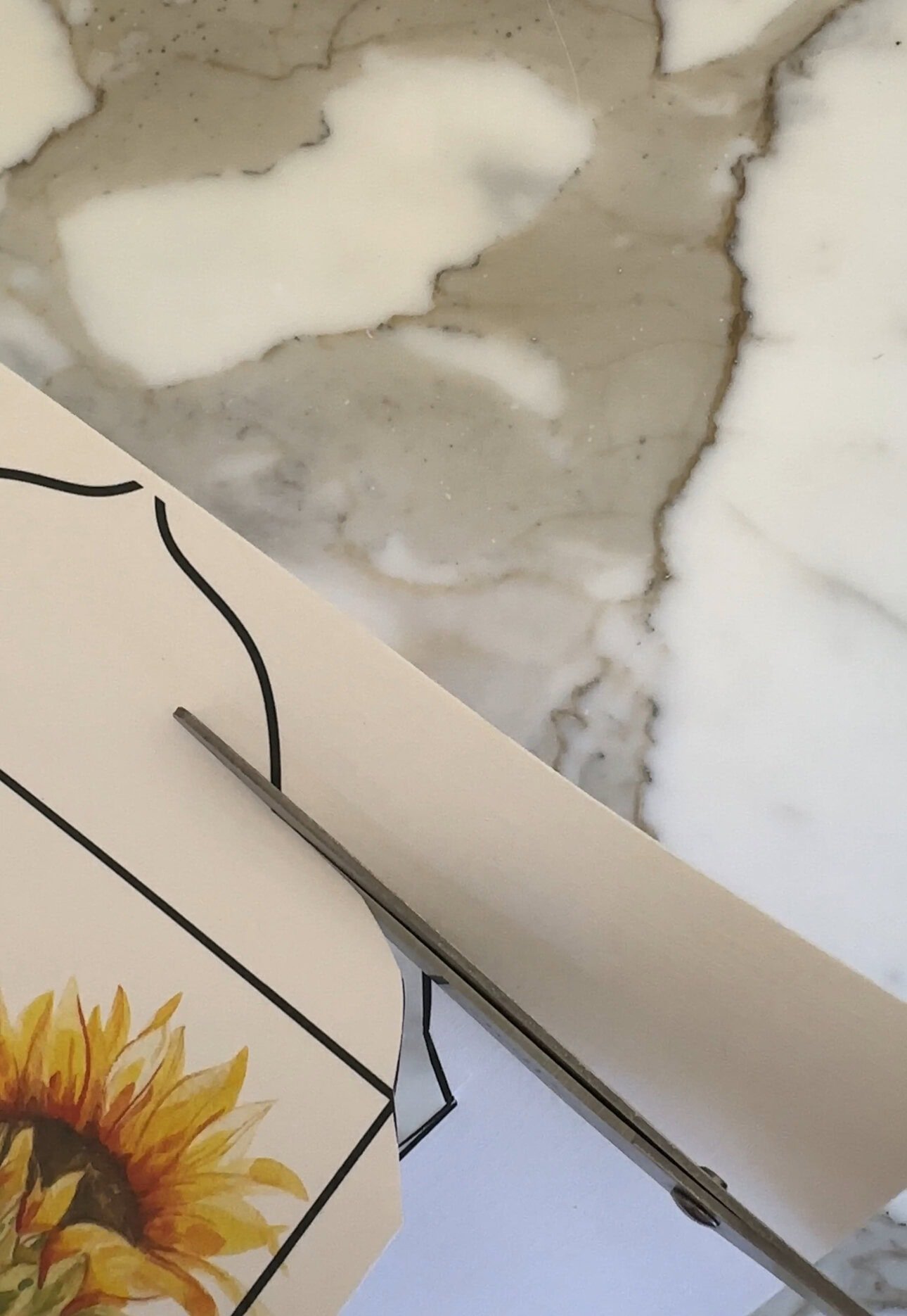 Make Your Own Seed Packets: Free Printables Included - Amy Sadler Designs